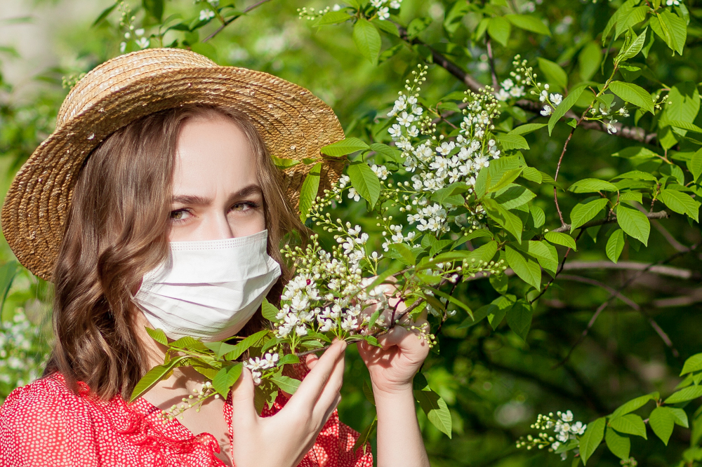 Socul: Planta tradițională care susține sănătatea respiratorie și ...